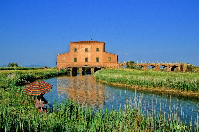 Tour ebike La via delle Bonifiche | Percorsi e-bike Maremma | BikeSquare