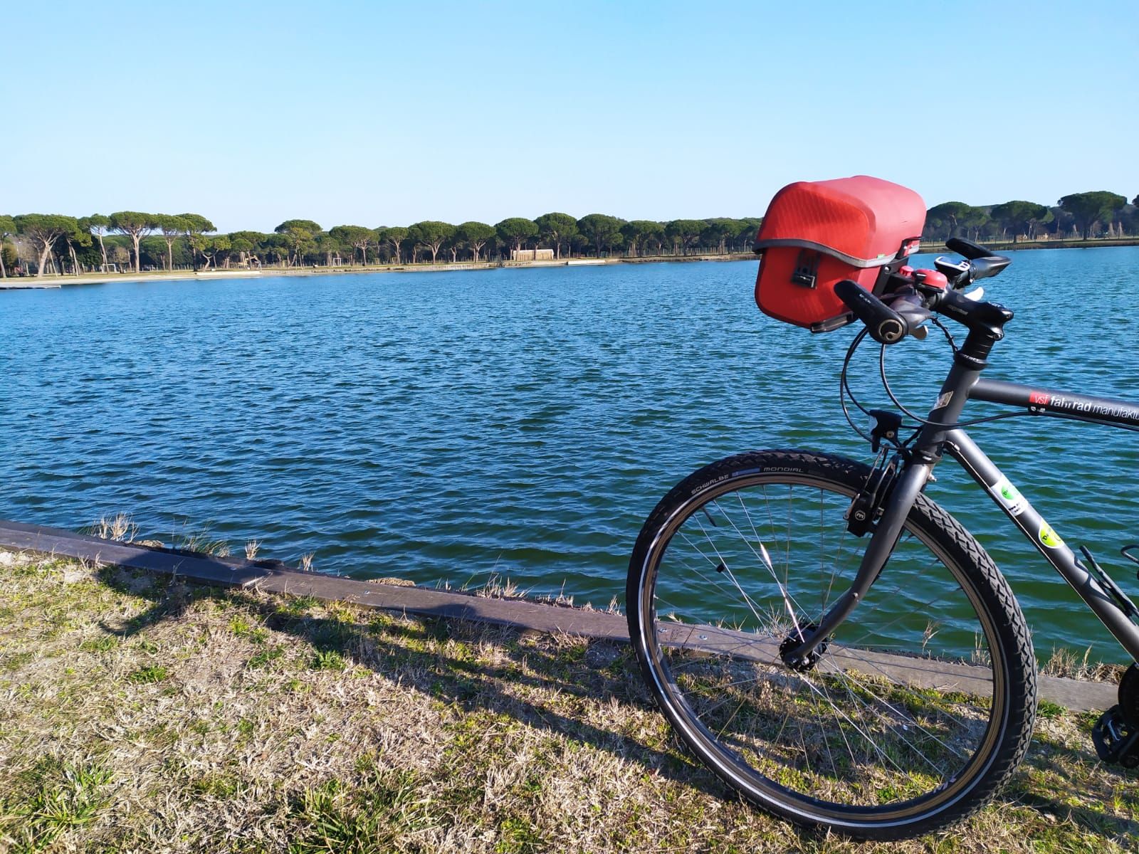 Spiaggia Romea | Da Vedere e-bike friendly Delta del Po | BikeSquare