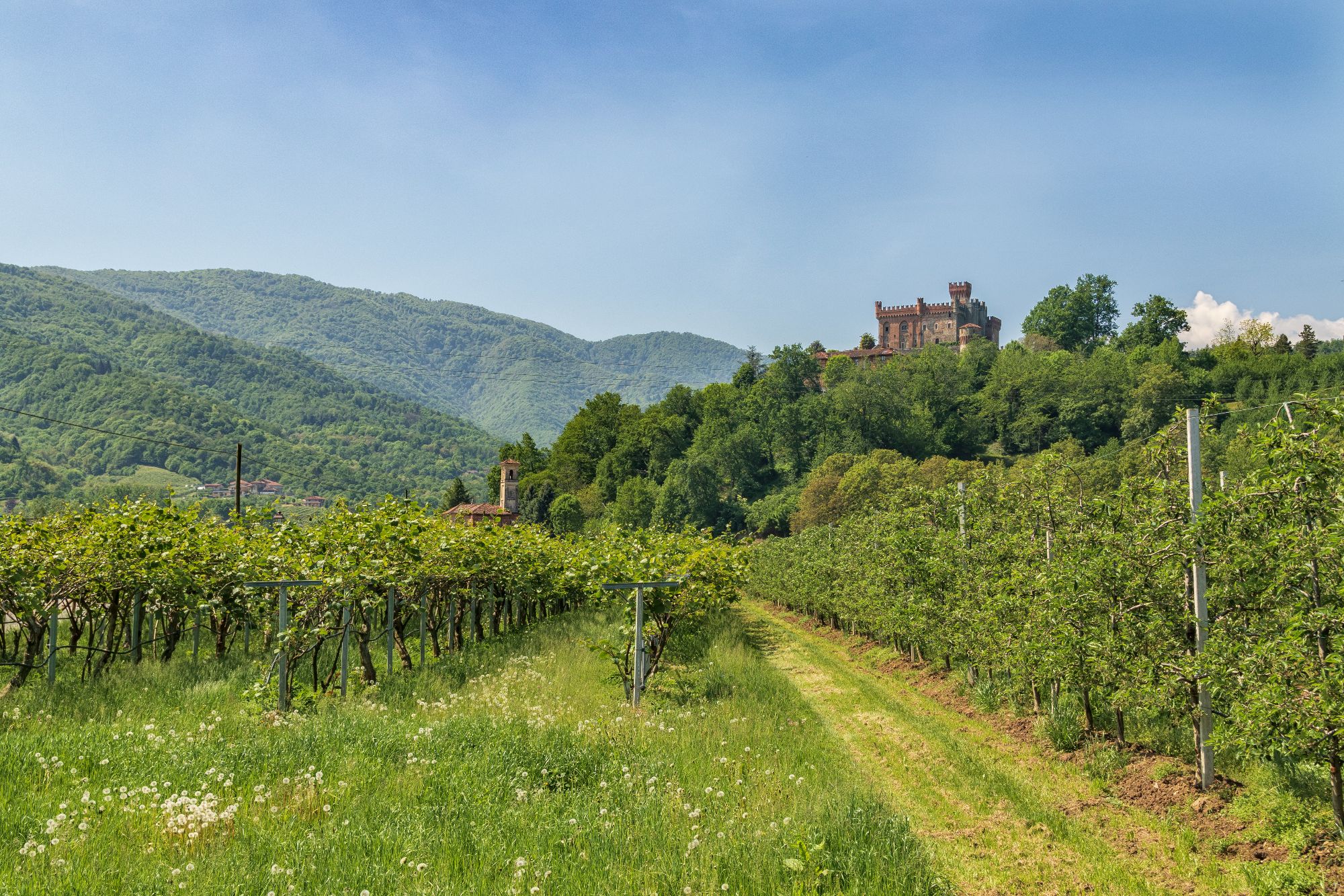 Castello di Castellar | Da Vedere e-bike friendly Monviso | BikeSquare